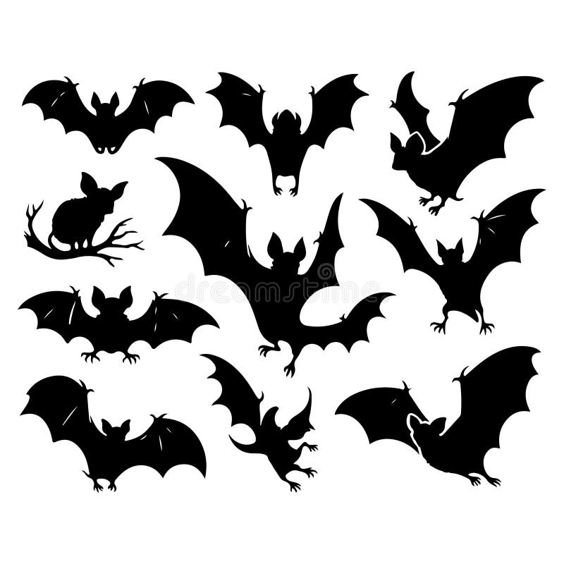 Silhouette Set of Bat. Vector Isolated Illustration Stock Vector ...