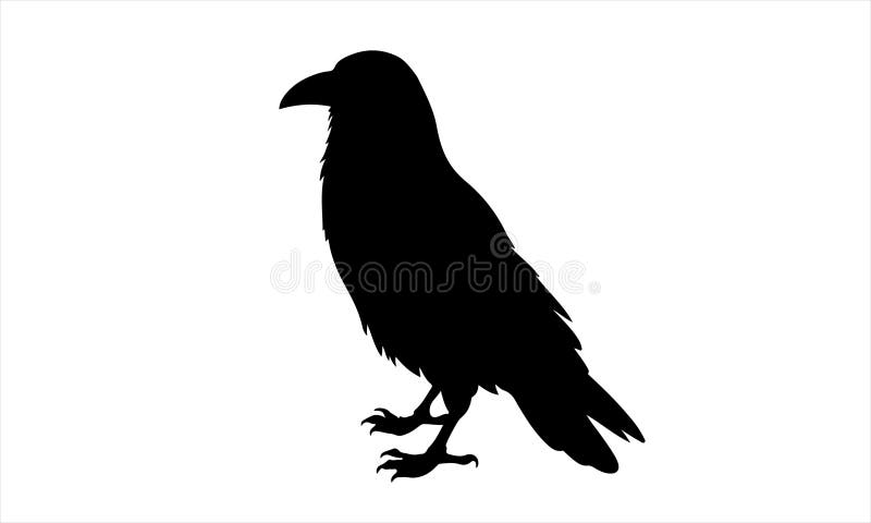 Silhouette Set of Crow, Raven, Bird, and Feather Vector Art Stock ...