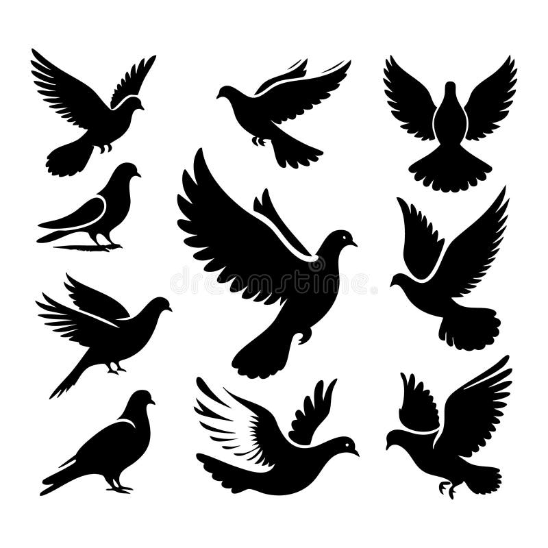 Silhouette set of dove stock vector. Illustration of shadow - 344156510