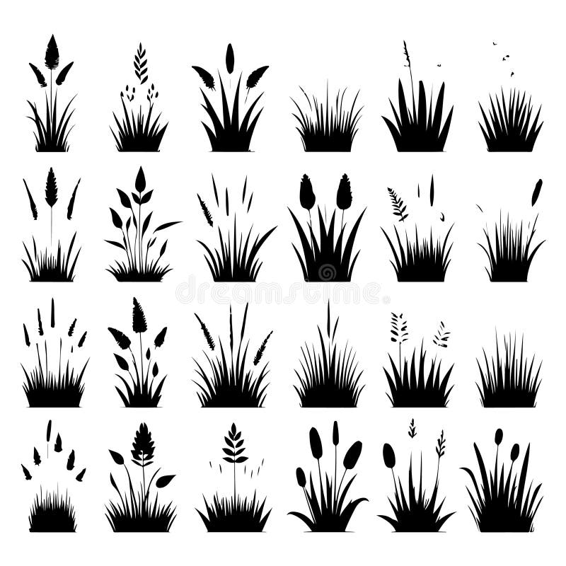 Silhouette Set of Grass. Vector Isolated Illustration Stock Vector ...