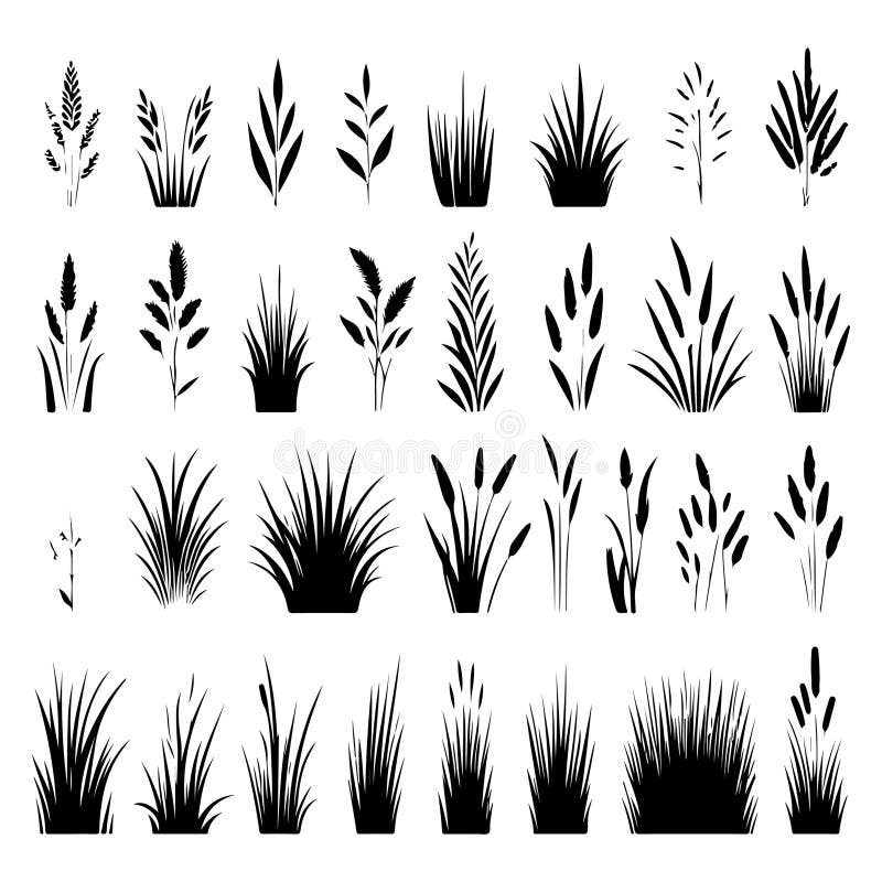 Silhouette Set of Grass. Vector Isolated Illustration Stock Vector ...