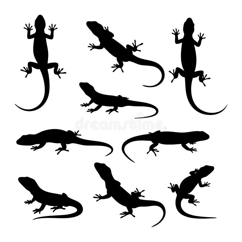 Silhouette Set of Lizard on White Background Stock Illustration ...