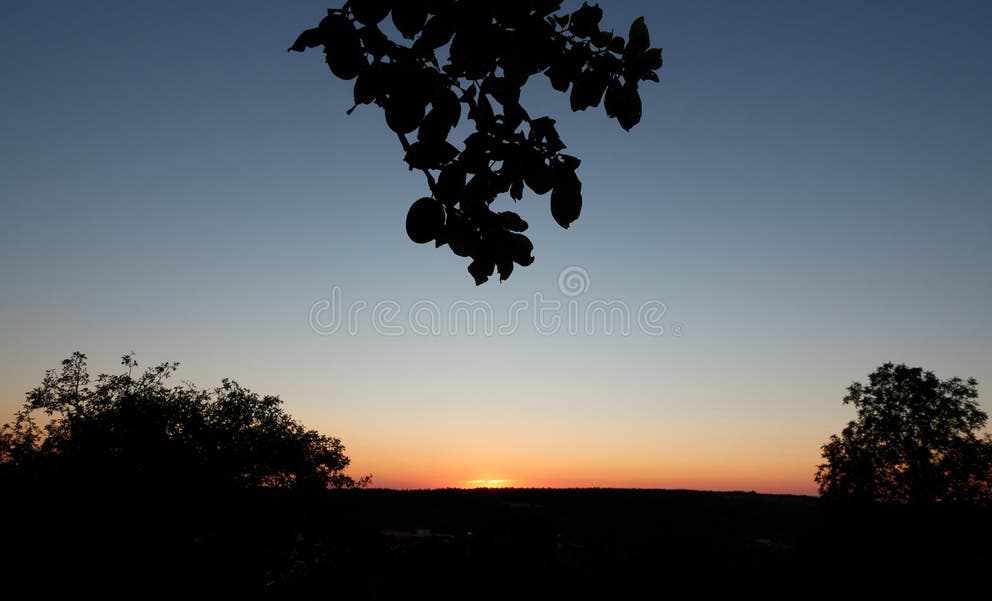Silhouette of Several Fruit Trees at Sunset Stock Photo - Image of dusk ...