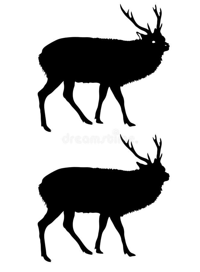 Sika Deer Stock Illustrations – 399 Sika Deer Stock Illustrations ...