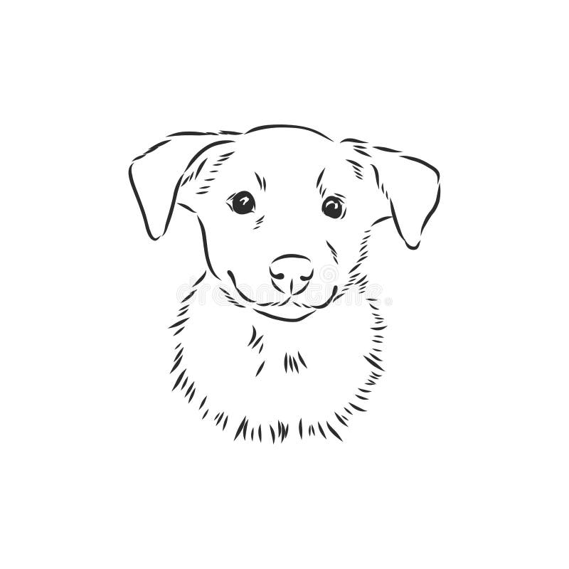 Silhouette Simple Head Dog. Vector Illustration. Portrait of a Dog ...