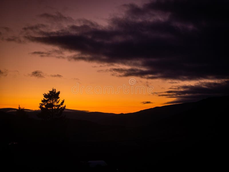 Silhouette of a Single Tree and Hills Under the Cloudy Sky at Sunset ...