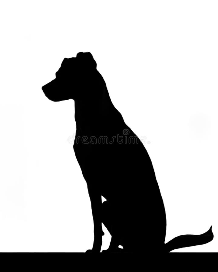 Silhouette of a Sitting Dog Isolated on White, Side View Stock Photo ...