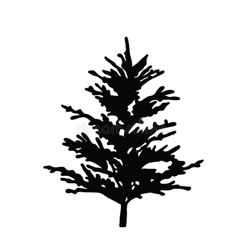 Silhouette of a Small Coniferous Christmas Tree. Black Illustration ...