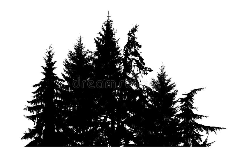 Silhouette of Spruce Forest. Hand Drawing. Not AI Stock Illustration ...