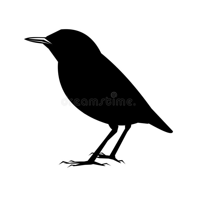Silhouette of a Standing Bird. Vector Illustration Stock Vector ...