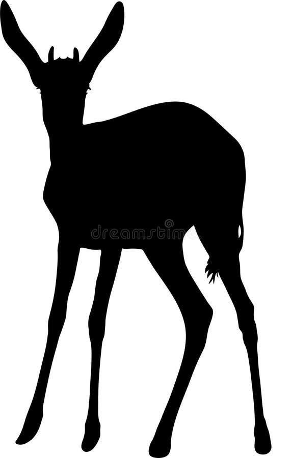 Wild Springbok Stock Illustrations – 465 Wild Springbok Stock ...