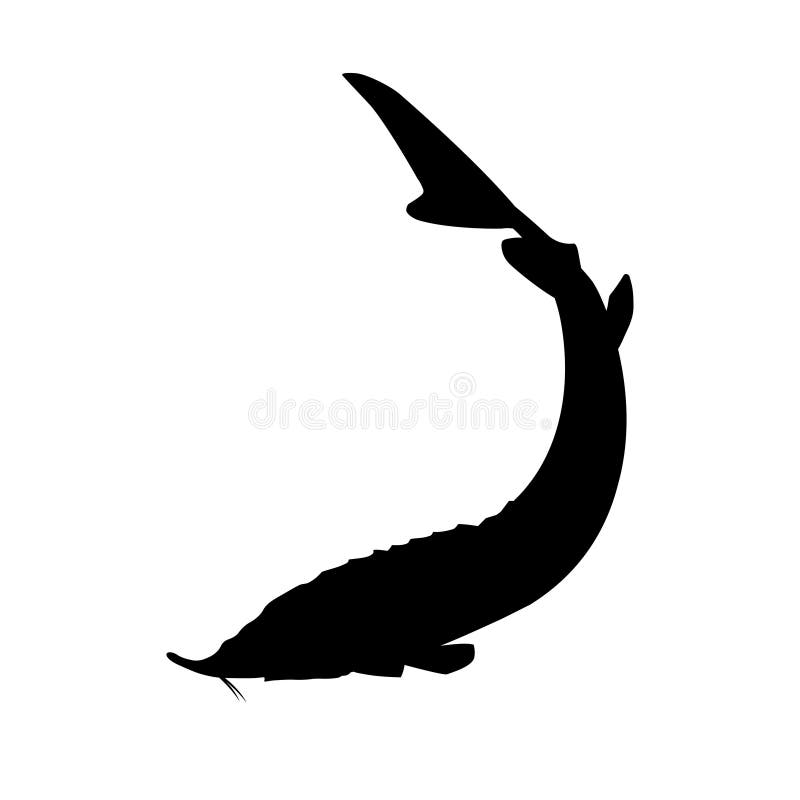 Sturgeon Fish Fishing Logo, Jumping Fish Design Template Vector ...