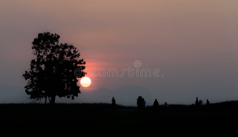 Silhouette sunset and tree stock photo. Image of landscape - 66829074