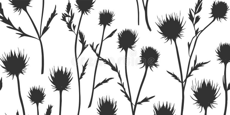 Black Silhouette Thistle Pattern on White Background, Seamless Floral ...
