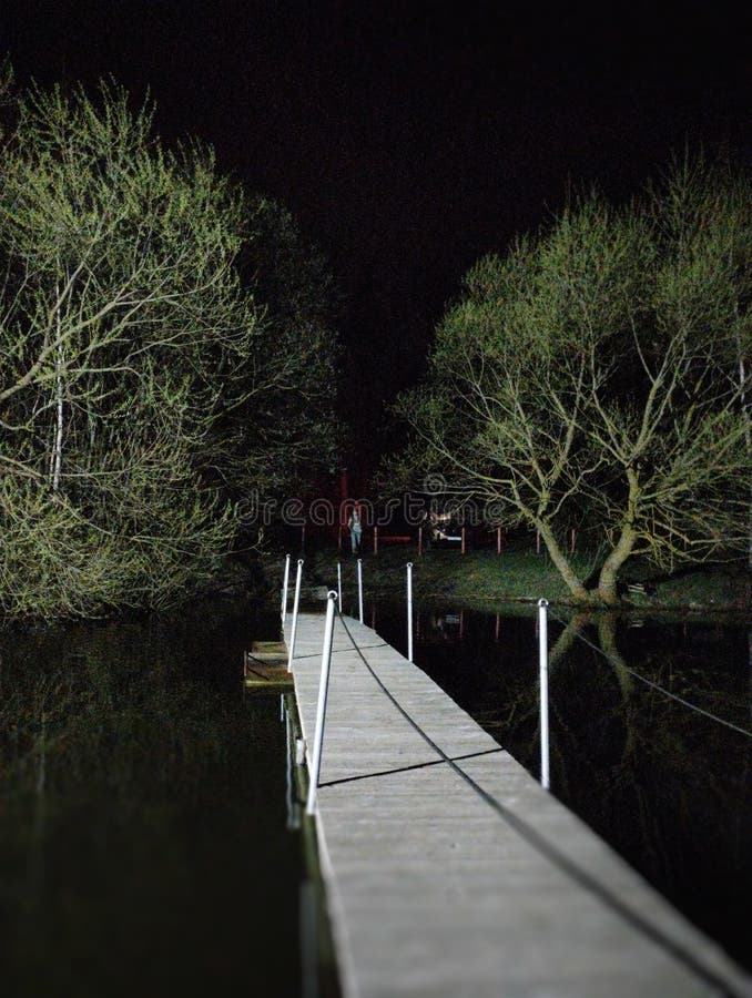 The Silhouette of a Tree Above the Water in the Dark at Night Stock ...