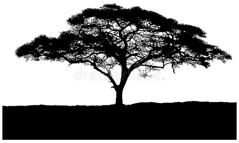 Black Savannah Tree Photo & Art Print Panoramic Image Of A Lonely