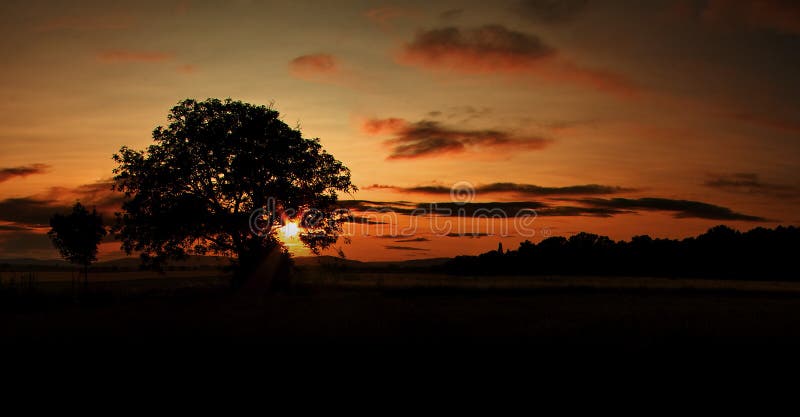 5,939 African Tree Sunset Silhouette Stock Photos - Free & Royalty-Free ...