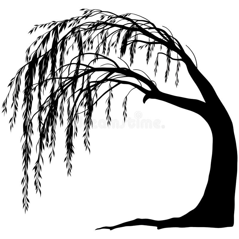 Silhouette of a Tree with a Bent Trunk and Branches Leaning Down on a ...