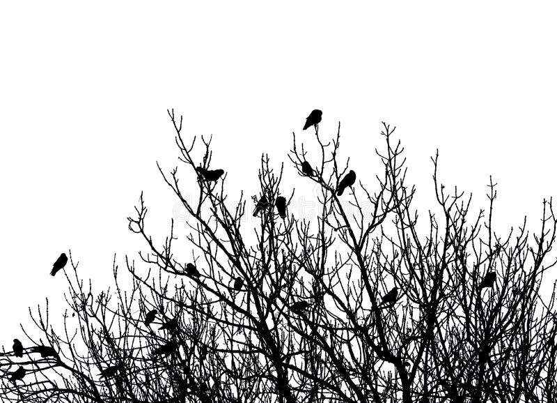 Silhouette of a Tree with Birds on the Branches Stock Image - Image of ...