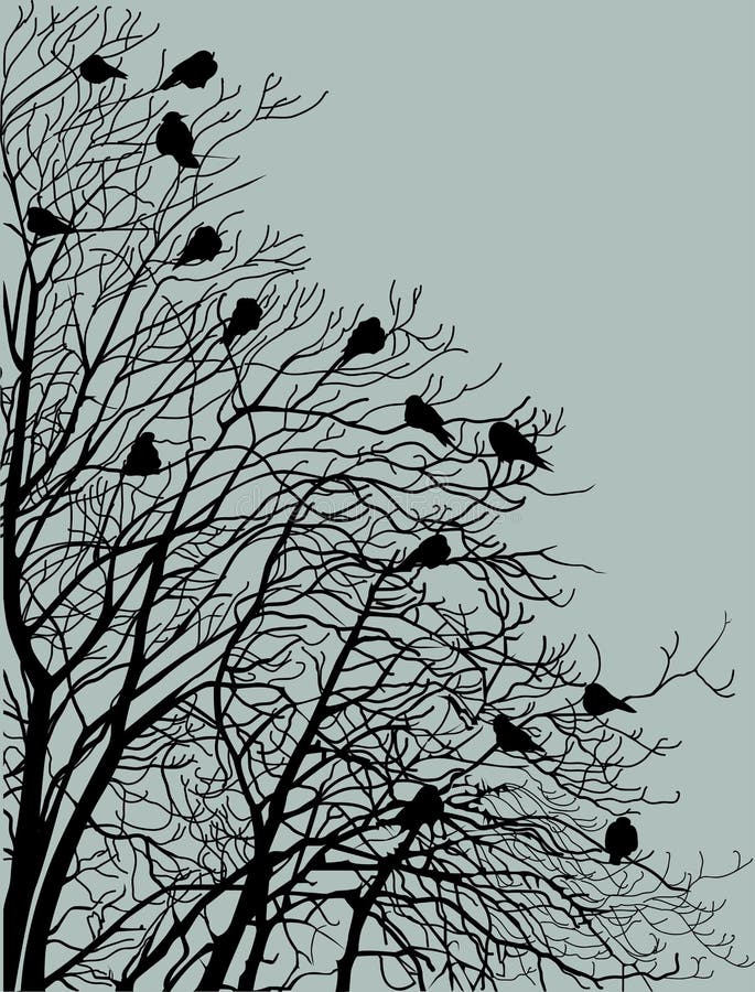 Black birds on tree stock vector. Illustration of decorative - 7287636
