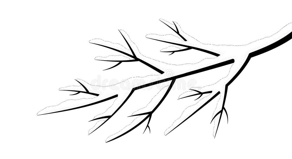 Thinner Twigs Stock Illustrations – 15 Thinner Twigs Stock ...