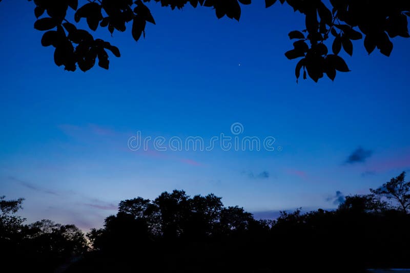 Silhouette of Tree Branches Under Blue Night Sky Stock Image - Image of ...