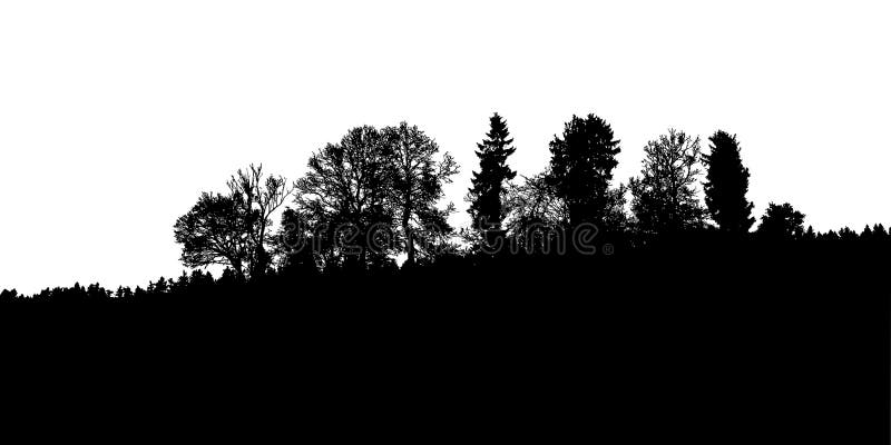 Silhouette of Horizon with Trees, Bush with Bare Branches Stock Vector ...