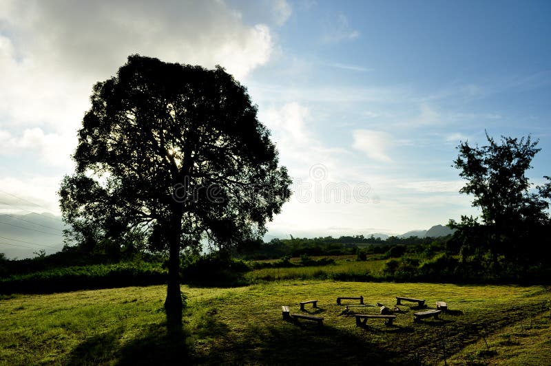 Silhouette Tree, Camp Fire and Clear Sky Stock Photo - Image of relief ...