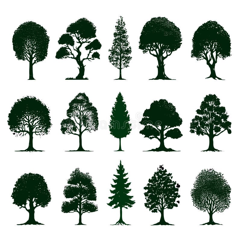 Silhouette Tree Drawing Set, Side View, Sketch Set of Graphics Trees ...