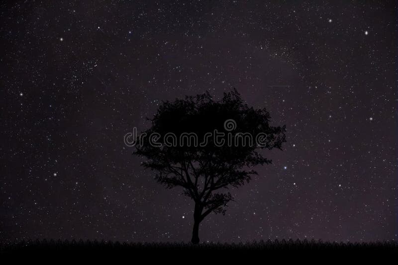Silhouette of a Tree in the Grass Stock Image - Image of heaven, branch ...