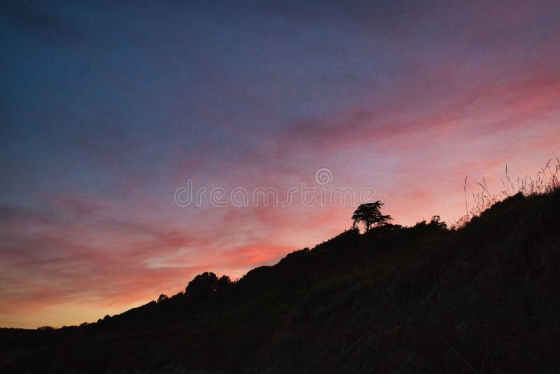 Silhouette of a Tree in the Hill at Sunset Stock Photo - Image of view ...