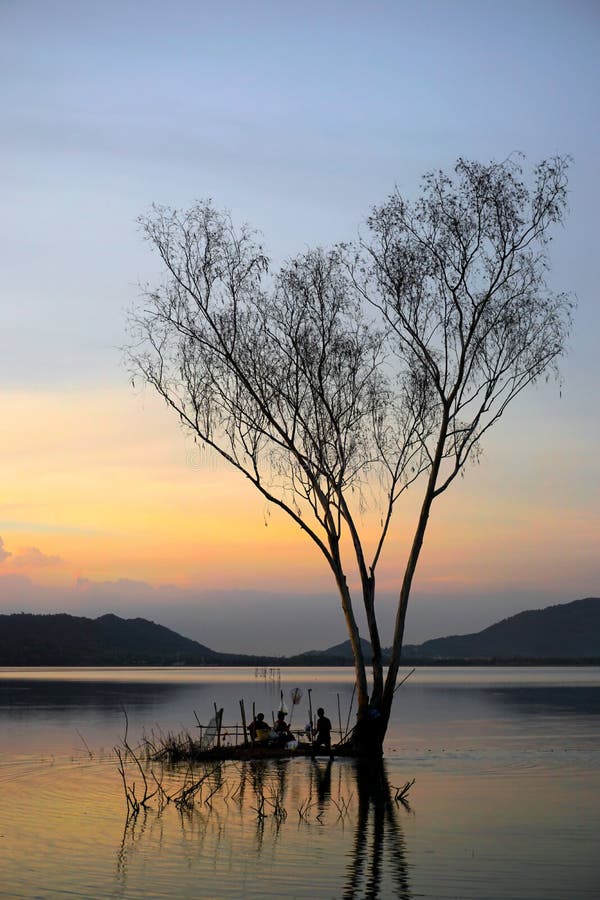 Silhouette of Tree at Lake with Silhouette Fisherman Stock Photo ...