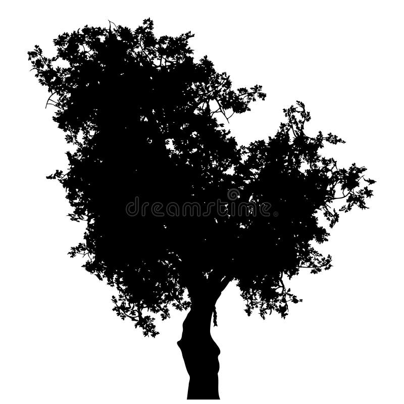 Silhouette of Tree with Leaves Stock Vector - Illustration of nature ...