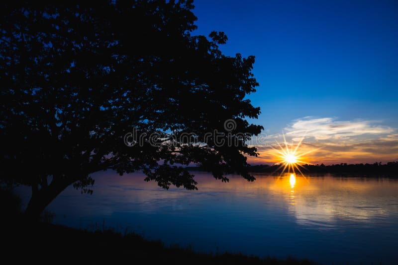 Silhouette of Tree on Left with River and Sun Flare on Sunset Stock ...