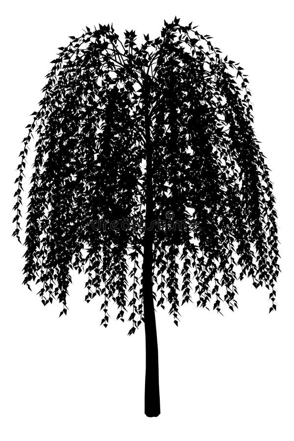 Long Root Tree Vector Stock Illustrations – 154 Long Root Tree Vector ...