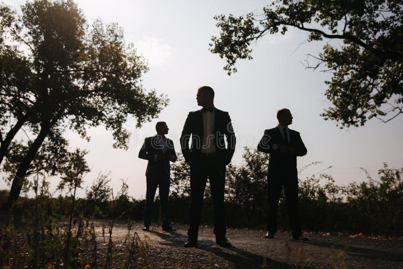 Silhouette of Tree Man in Suit Outside Stock Image - Image of fashion ...