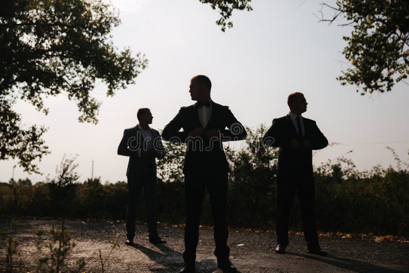 Silhouette of Tree Man in Suit Outside Stock Image - Image of closeup ...