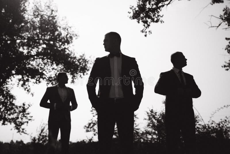 Silhouette of Tree Man in Suit Outside Stock Photo - Image of hands ...