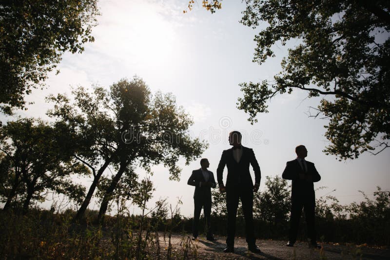Silhouette of Tree Man in Suit Outside Stock Image - Image of handsome ...