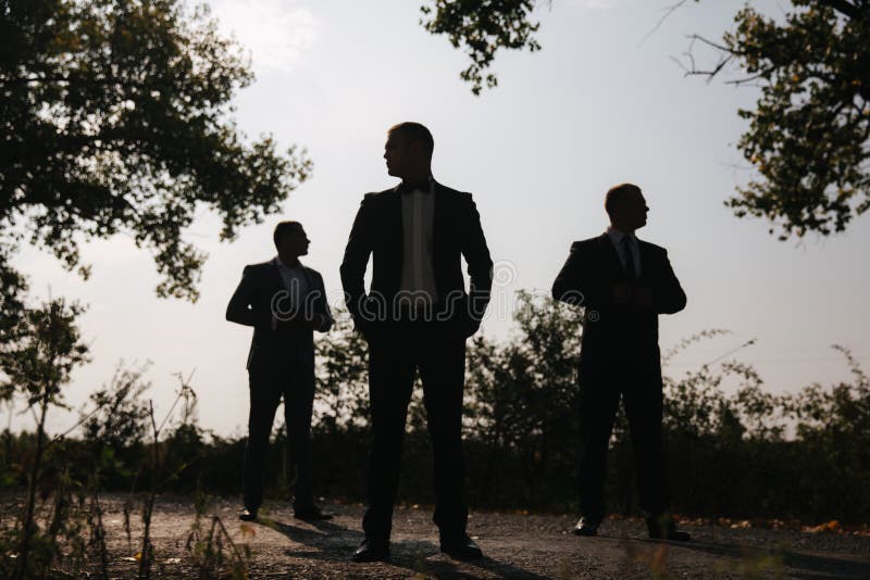 Silhouette of Tree Man in Suit Outside Stock Image - Image of fashion ...