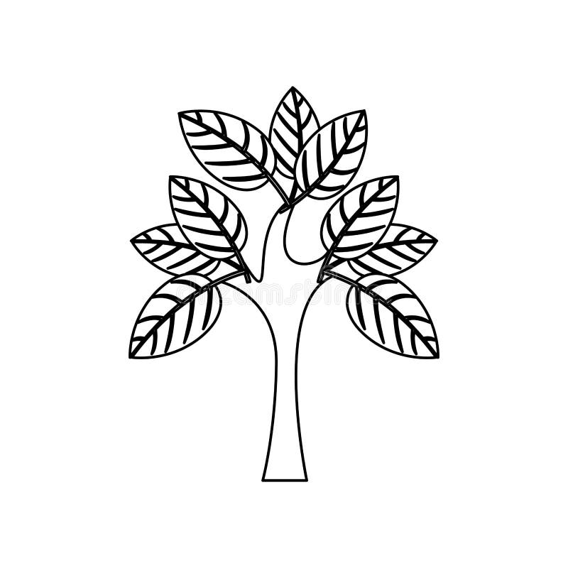 Silhouette Tree with Multiple Leafy Branches Stock Vector ...