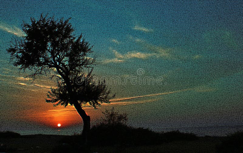 A Photo of Beautiful Trees and Sunset Whose Lights Spread through the ...