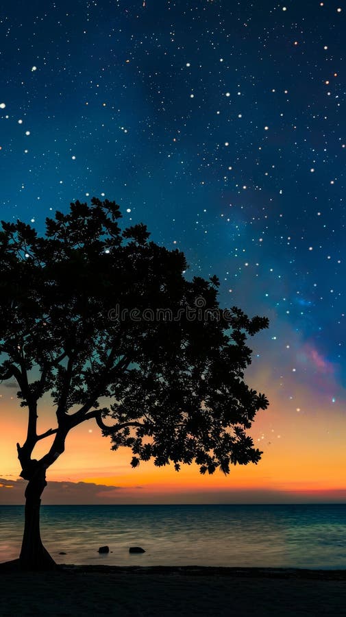 Silhouette of a Tree by the Sea during a Starry Sunset Stock Photo ...