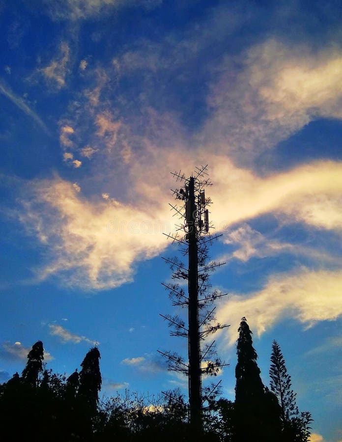 The Silhouette of Tree and Transmitter in the Afternoon Stock Photo ...