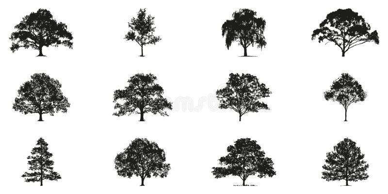 Silhouette Tree Varieties Illustration Set. Landscape Architecture and Urban Planning Element ...