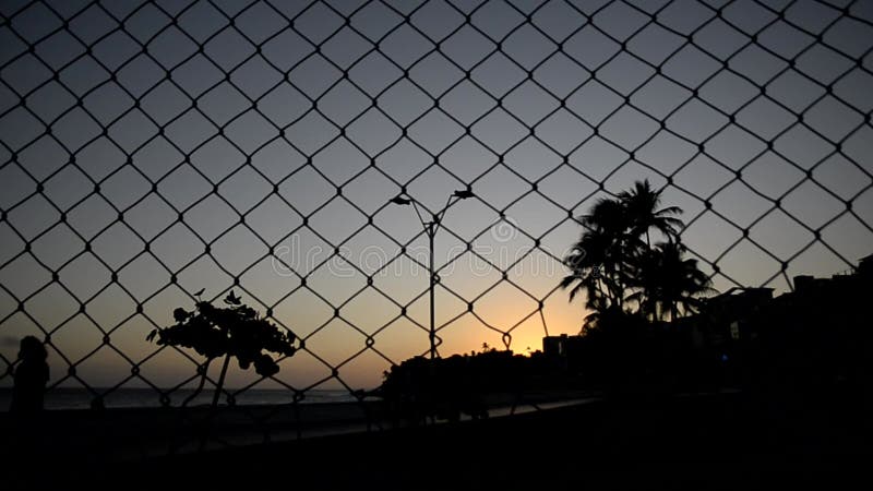 Silhouette of Trees and a Railing Against a Dramatic Sunset Stock Video ...