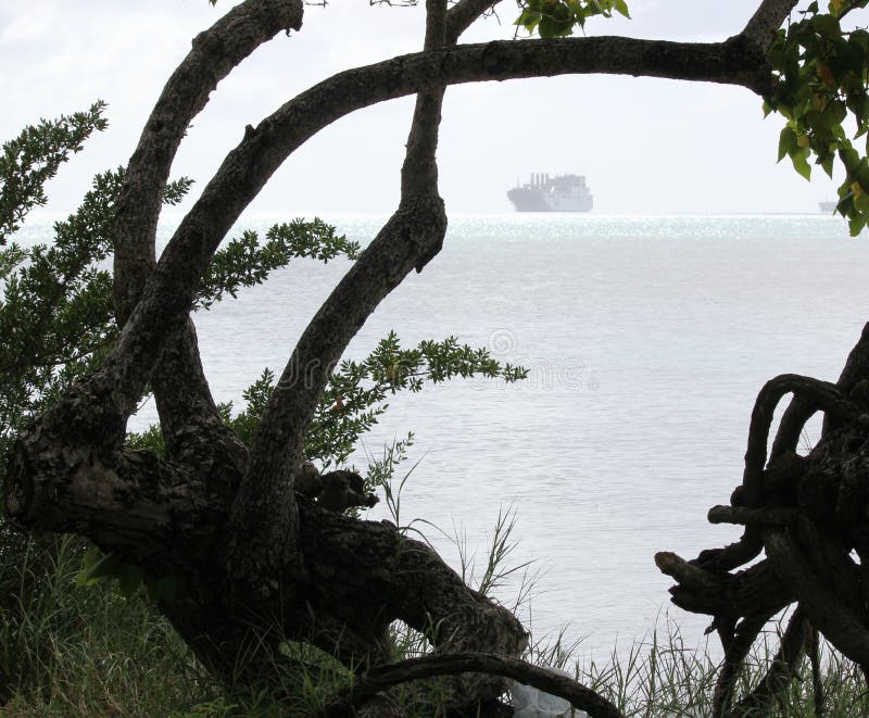 Trees on a Rainy Day at the Beach, with a Ship in the Distance Stock ...