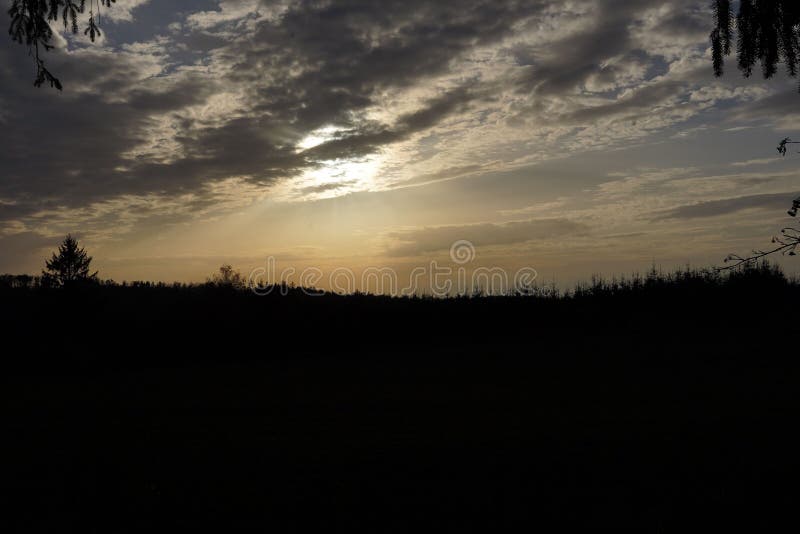 Silhouette of Trees at Sunset Stock Image - Image of silhouette ...