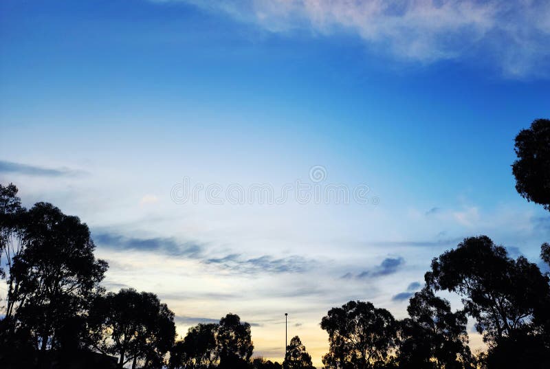Silhouette of Trees at Workplace Carpark with Blue Sky during Twilight ...
