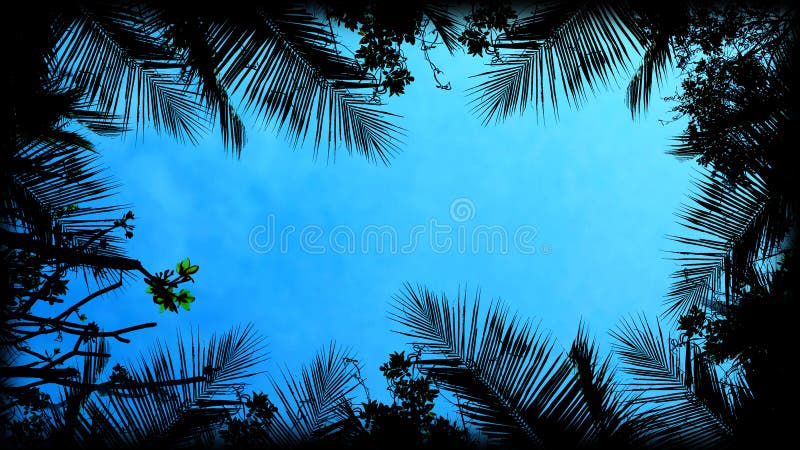 Silhouette Tropical Tree and Empty Space Stock Photo - Image of ...